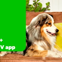 De KPN TV+ Smart TV app voor Android TV | KPN Community